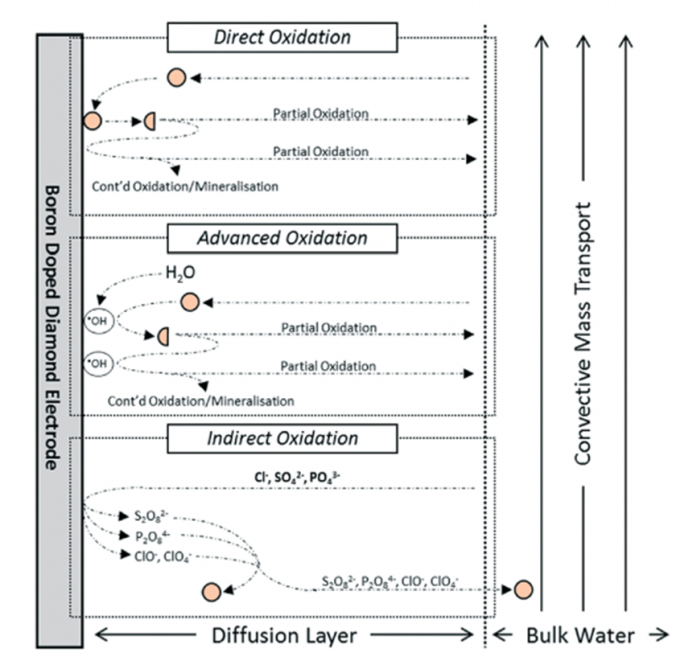 Comprehensive interpretation of "BDD electrode electrolytic oxidation ...